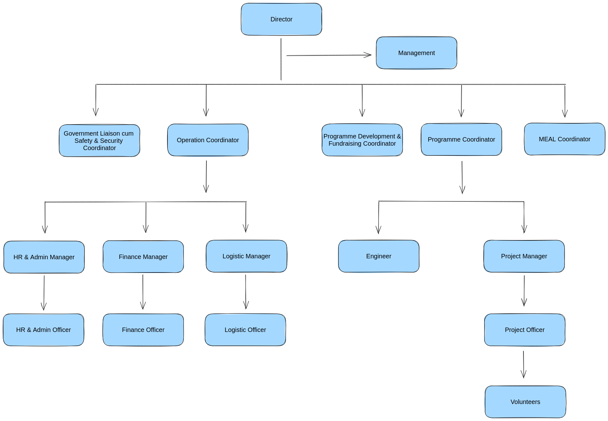 Ray Development Organization - Organization Structure